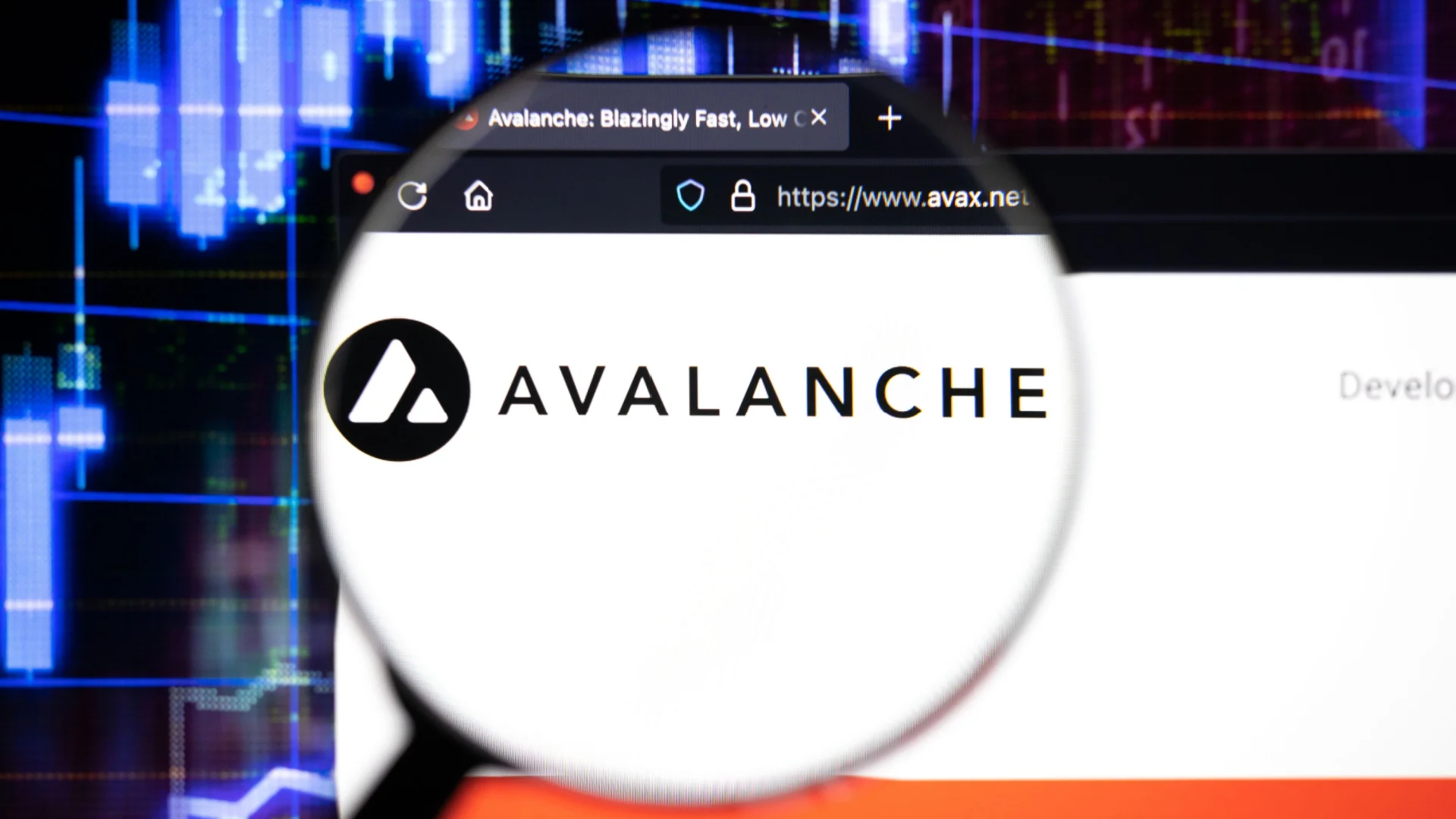 Avalanche Daily Active Users Are Surging, But AVAX is down - What's ...
