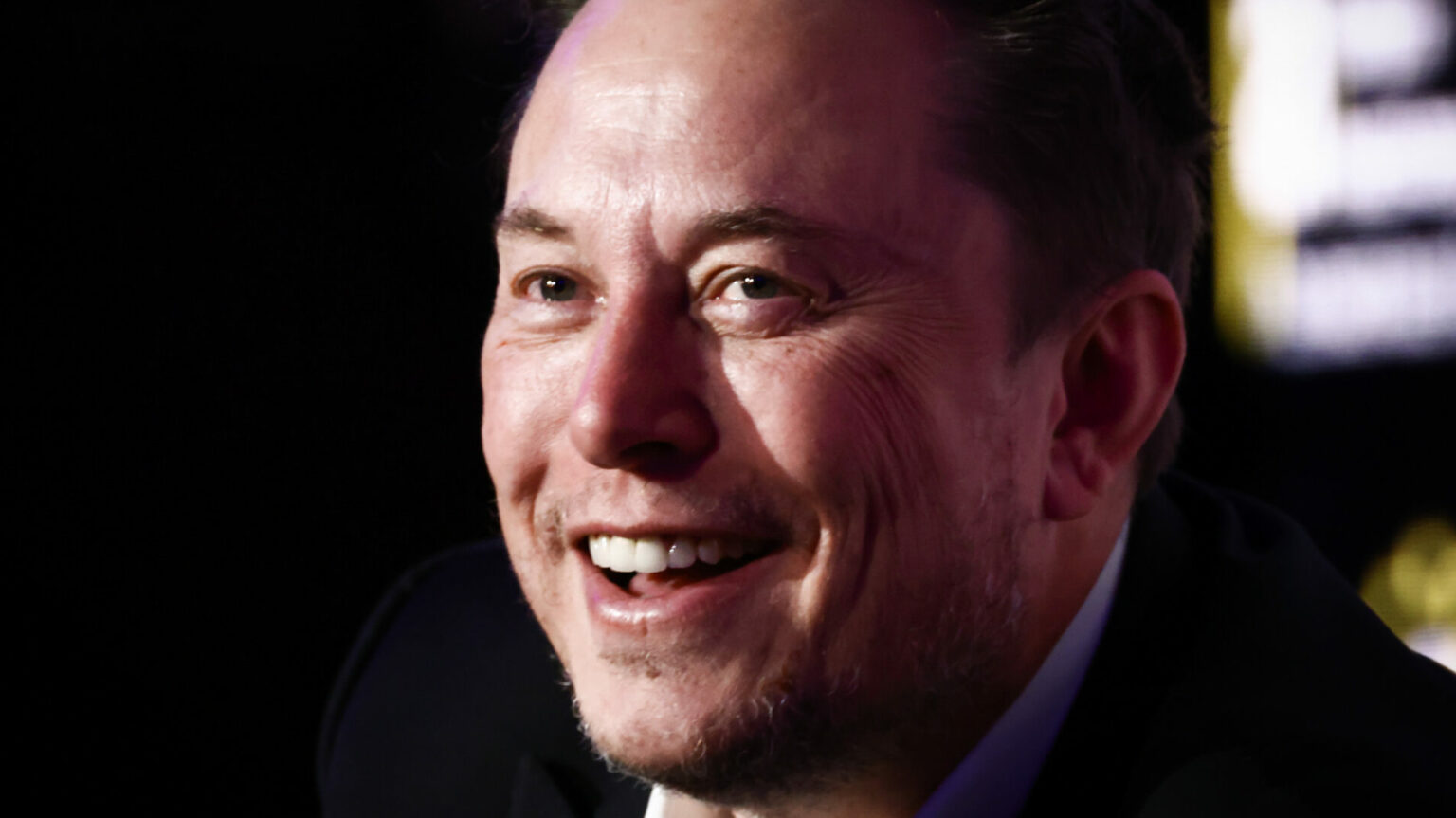 Elon Musk Posts Picture of Dogs in Hats, Dogwifhat Memecoin Surges ...