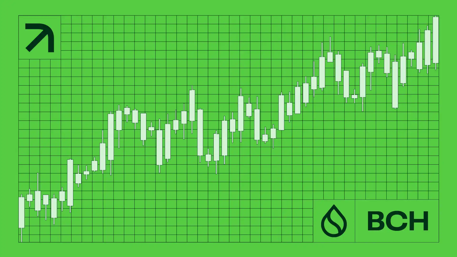 Bitcoin Cash Price Hits Yearly High — Can BCH Break $600 Next?