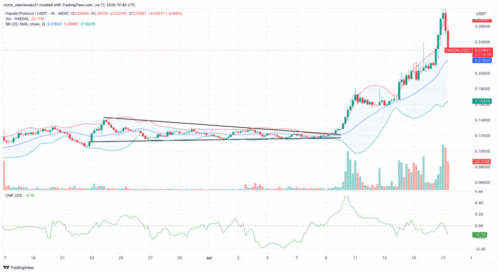 HAEDAL Price Spikes to All-Time High — Now, Correction Is Close