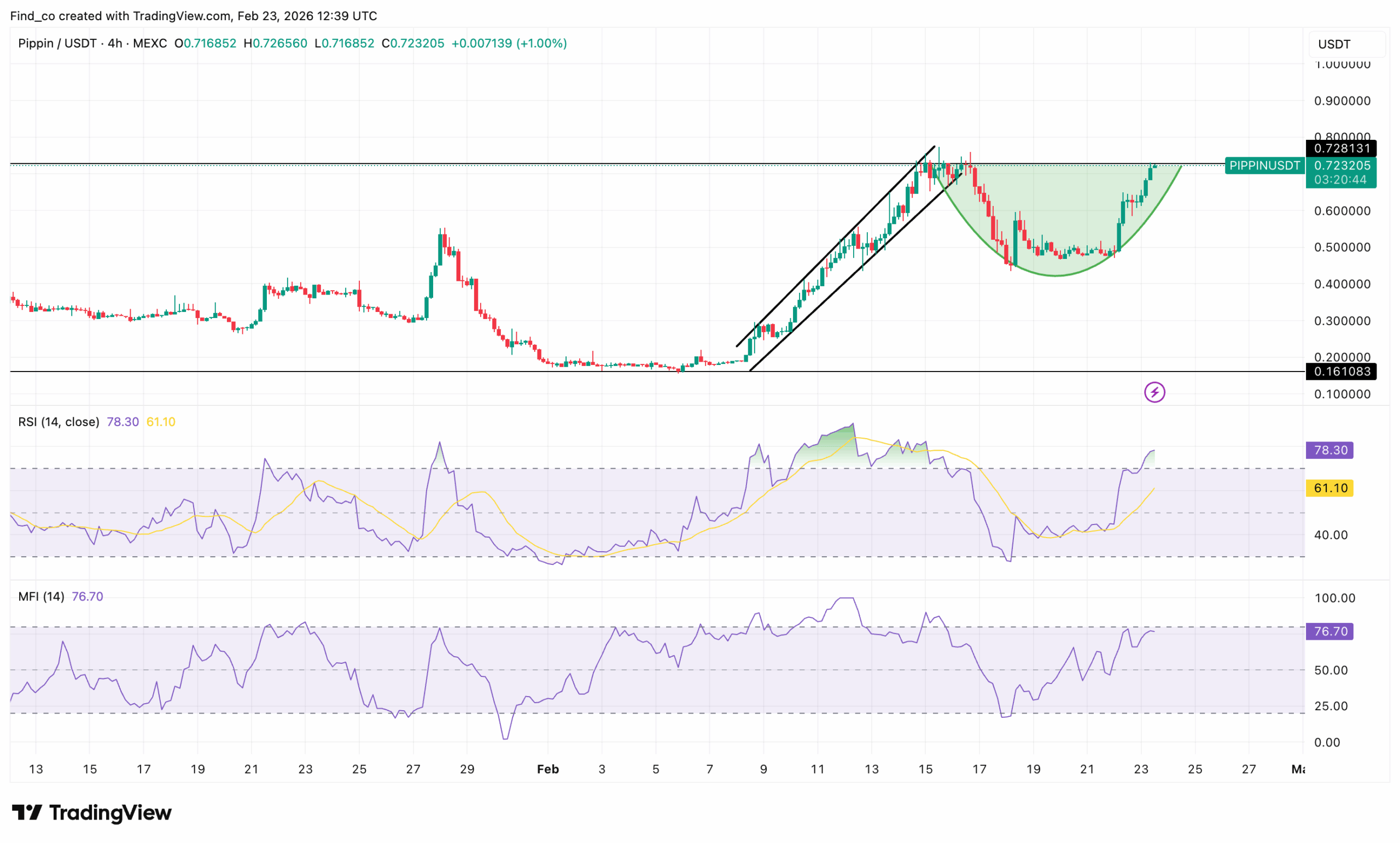 PIPPIN Token Price Targets $1 Move Following 20% Rebound