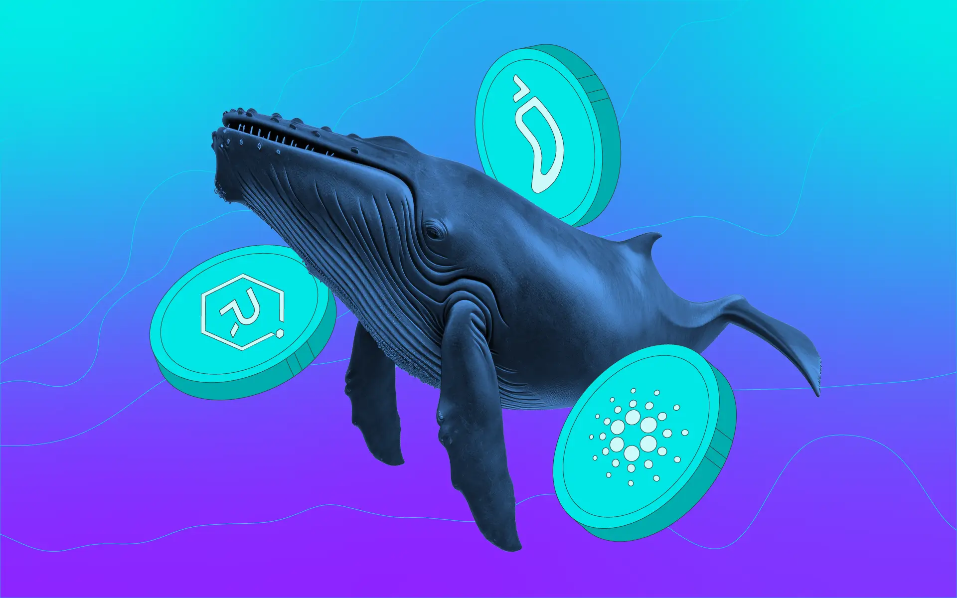 Crypto Whales Are Buying WLD, DOGE, HYPE as May Starts